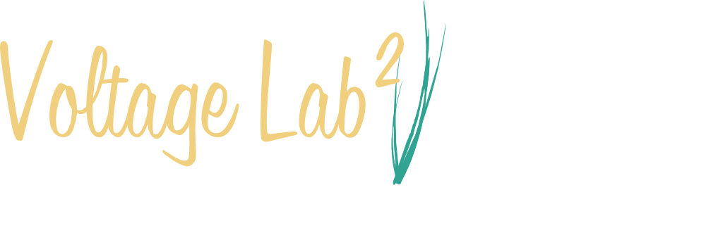 Voltage Lab 2 — Pittsburgh Modular Synthesizers
