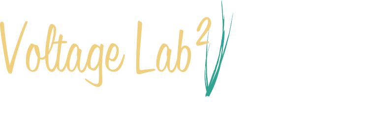 Voltage Lab 2 — Pittsburgh Modular Synthesizers