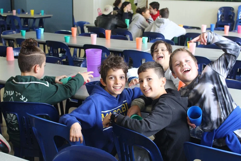 Netzer Life Cycle — Netzer Australia