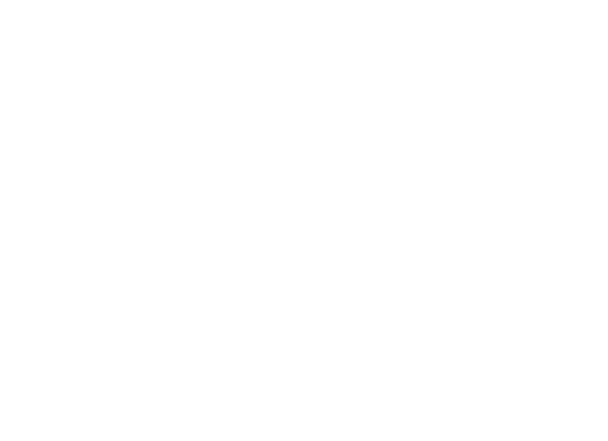Netzer Australia — The Netzer Appeal