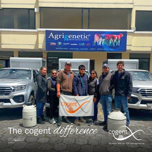 COGENT ANNOUNCES BREEDING 'FIRST' IN ECUADOR — British Livestock Genetics