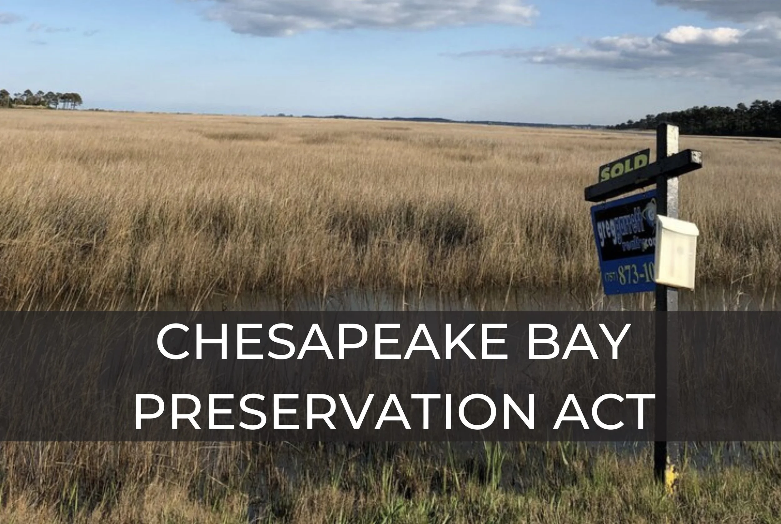 Chesapeake Bay Preservation Act — Wetlands Watch