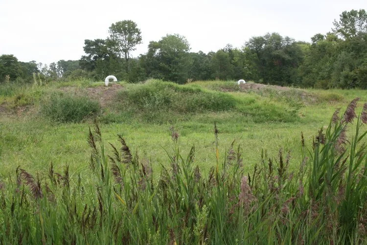 Director's Blog — Wetlands Watch