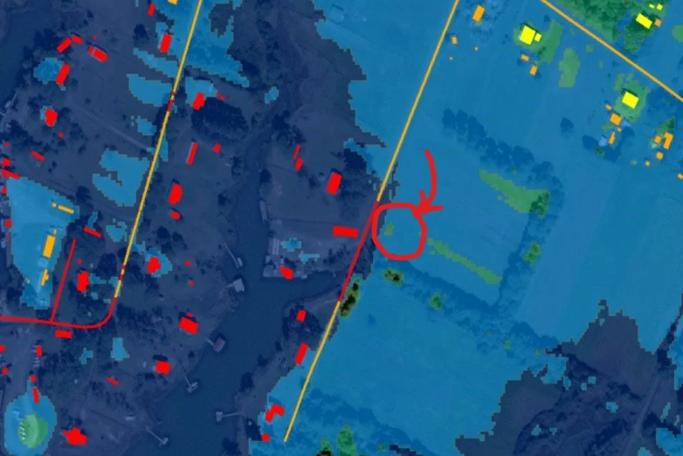 Director's Blog — Wetlands Watch