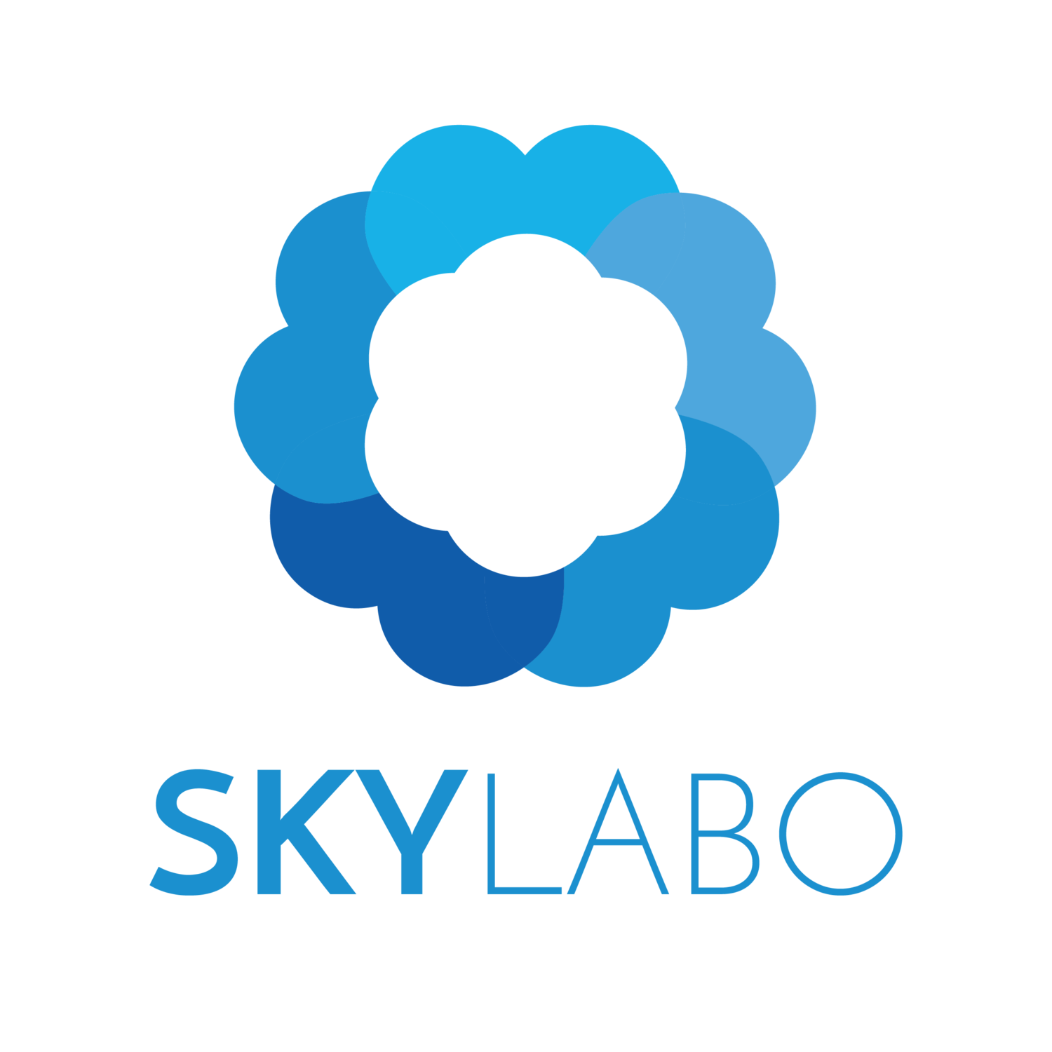 チーム — SKY Labo