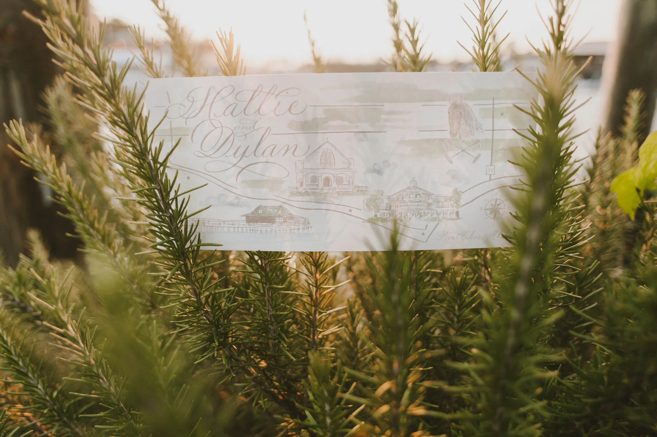 my best friend's wedding — touch of gray