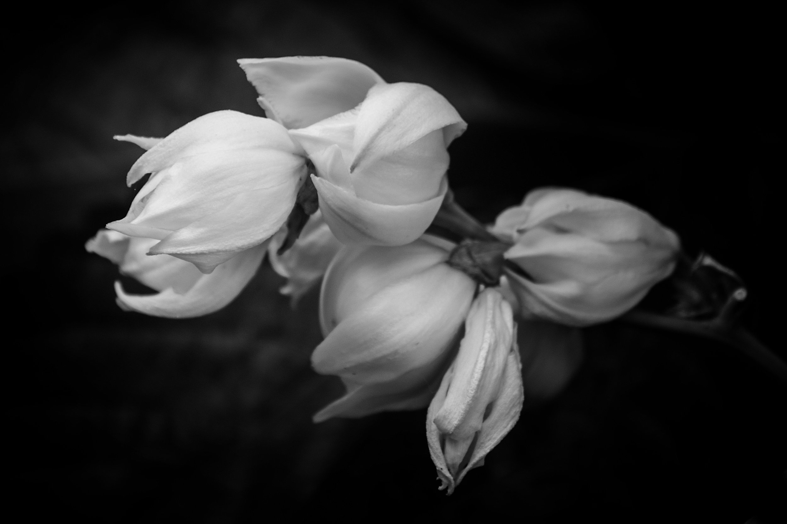 My Favorite Image (for the moment) — DFG Studio