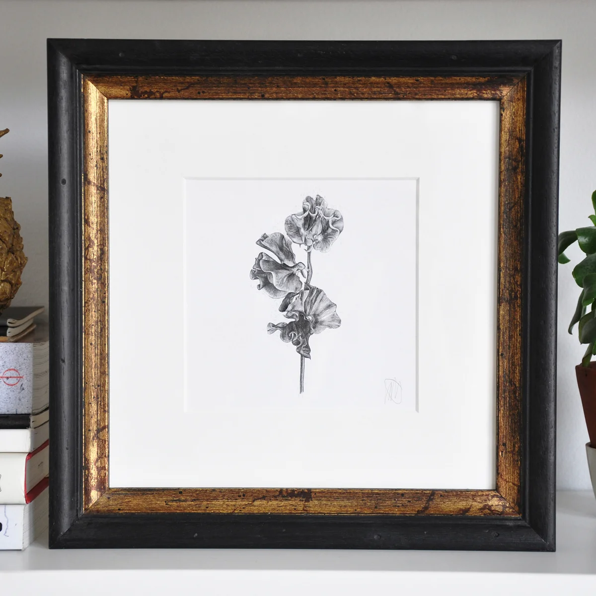 LALE GURALP - Fine pencil drawings and prints.