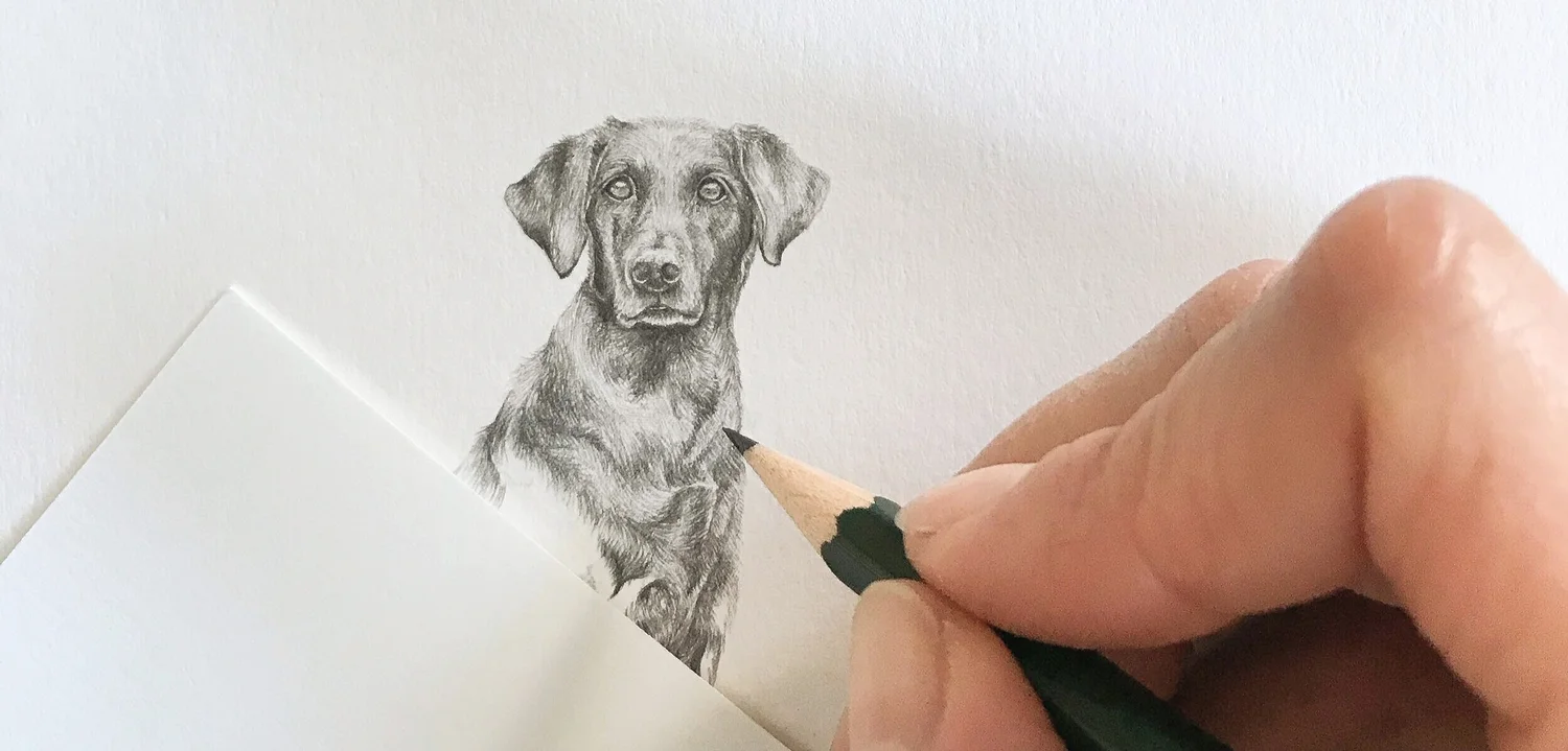 Pet Portraits — Lâle Güralp