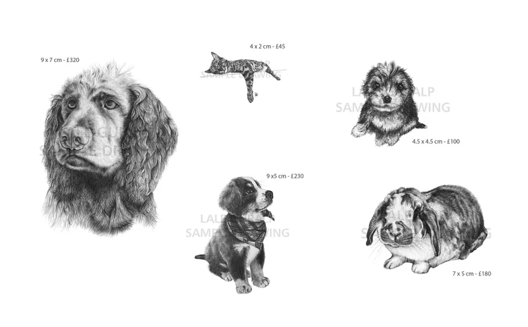 Pet Portraits — Lâle Güralp