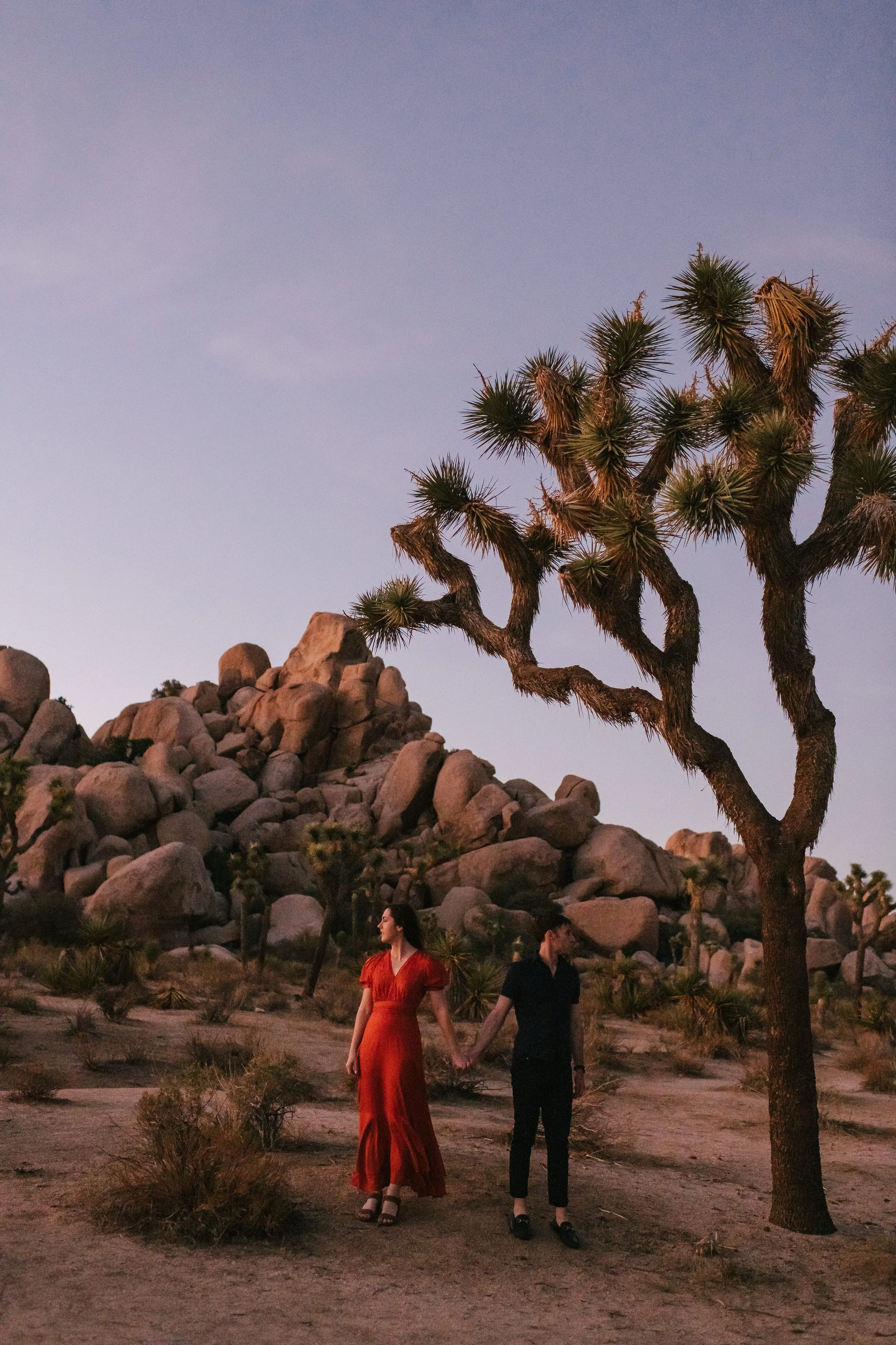 Joshua Tree Couples Session at Hidden Valley