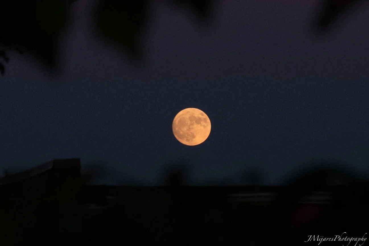 Shoot The Moon Photography