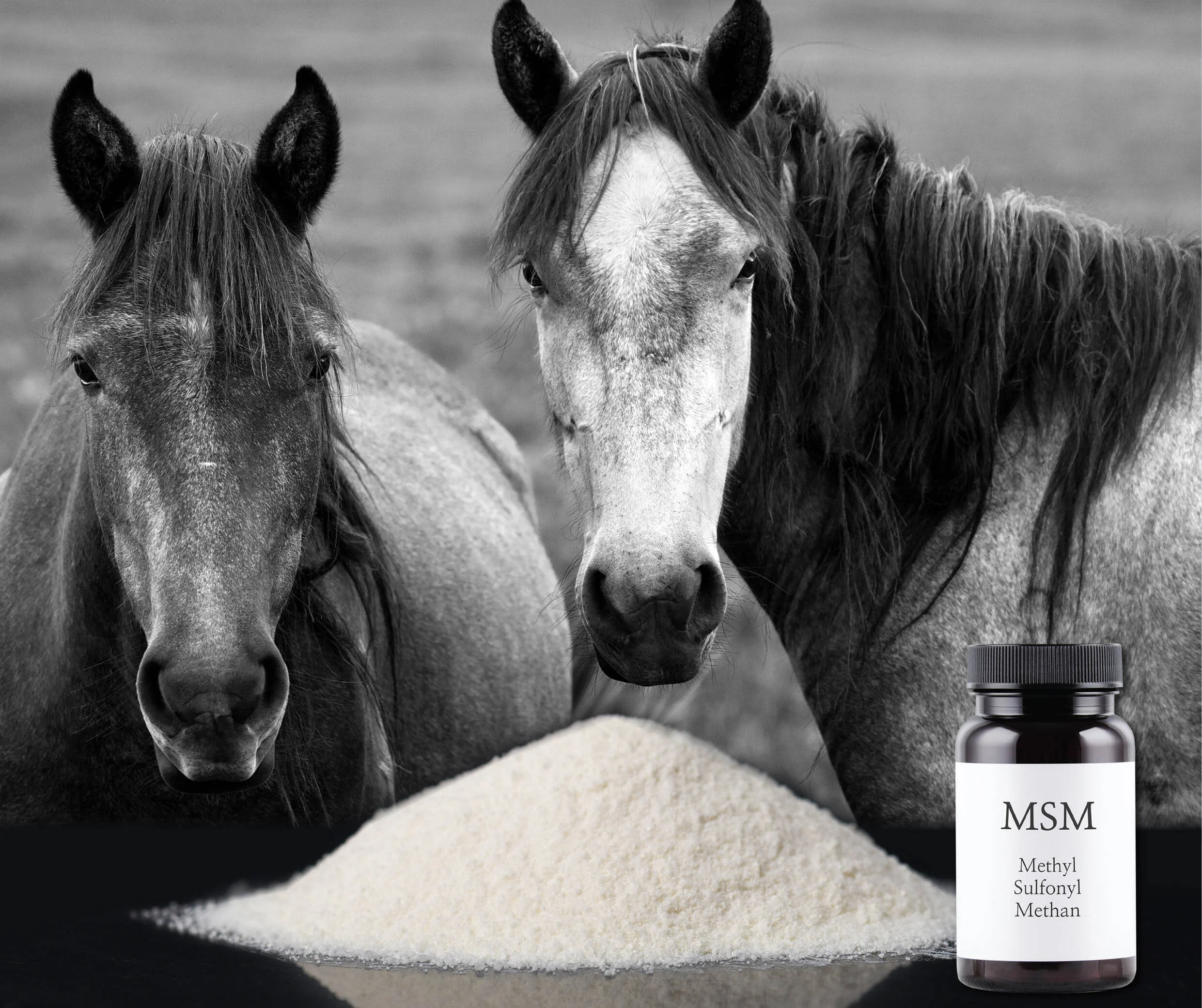 MSM - Methyl Sulfonyl Methan | Discover MSM Benefits Today — Jenquine