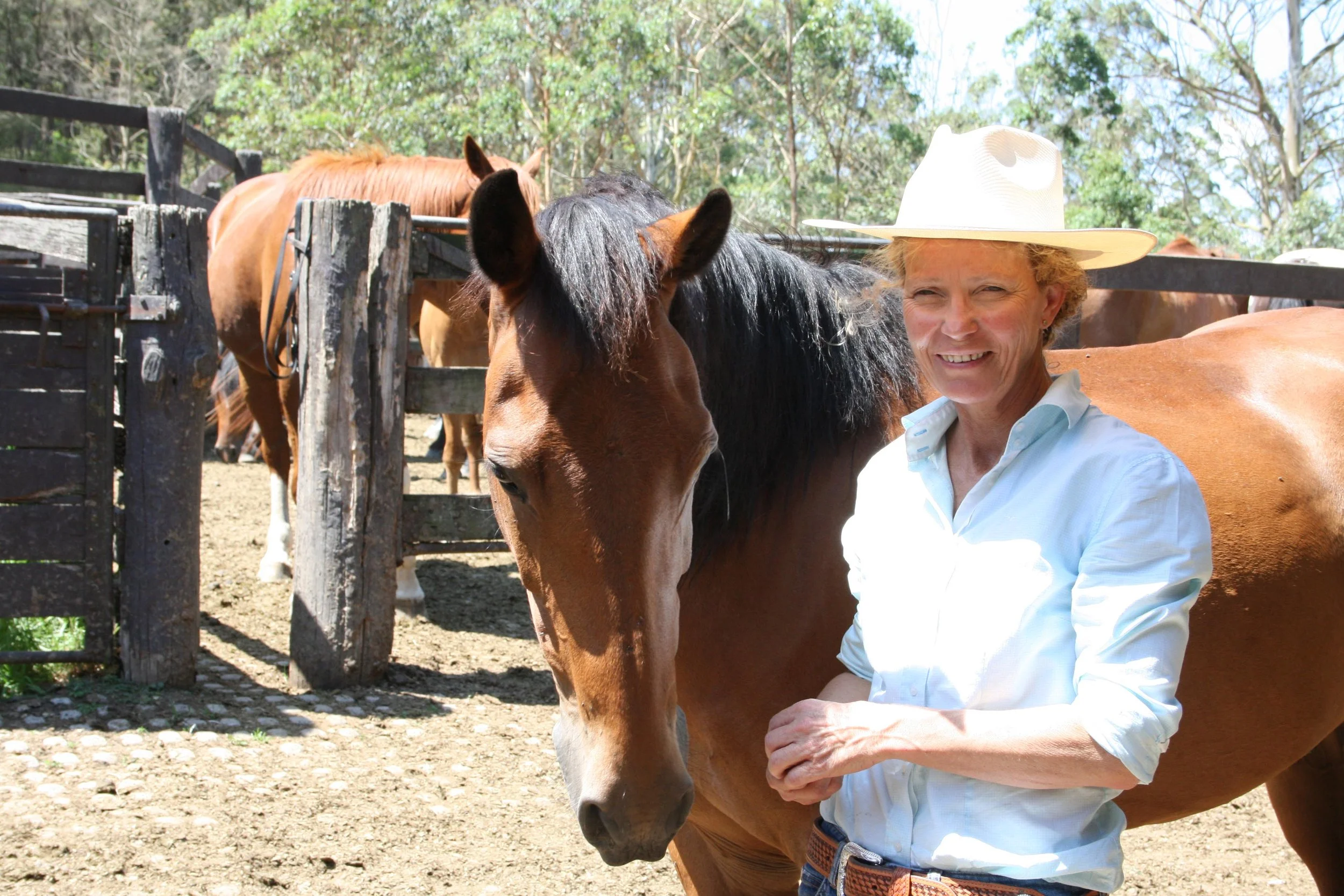 Dr Jen Stewart | Explore Equine Nutrition Today — Jenquine