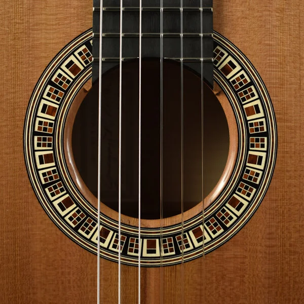 Rosettes — Gregory R. Miller