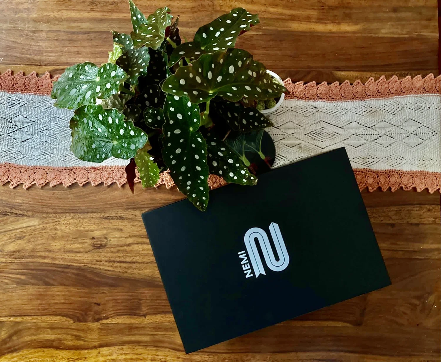 NEMI TEAS - Online Tea Shop, Buy Biodegradable Tea Bags