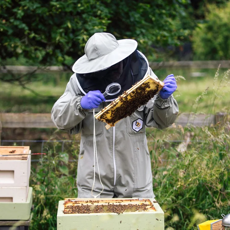 An Interview with a Beekeeper | Journals — Red Sky Shepherd's Huts