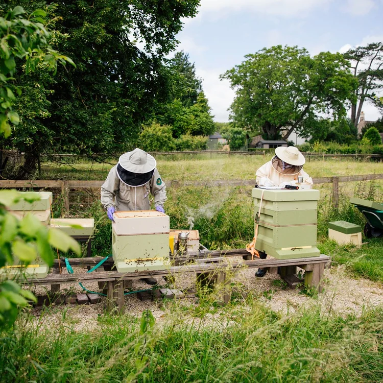 An Interview with a Beekeeper | Journals — Red Sky Shepherds Huts