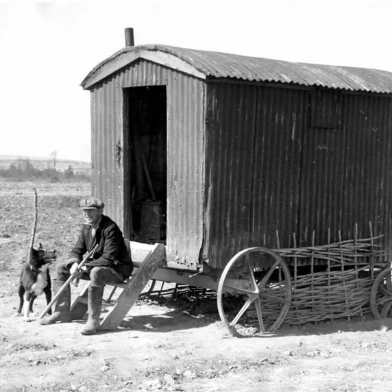 Our Exposed Structure | Journals | Red Sky Shepherd's Huts — Red Sky ...