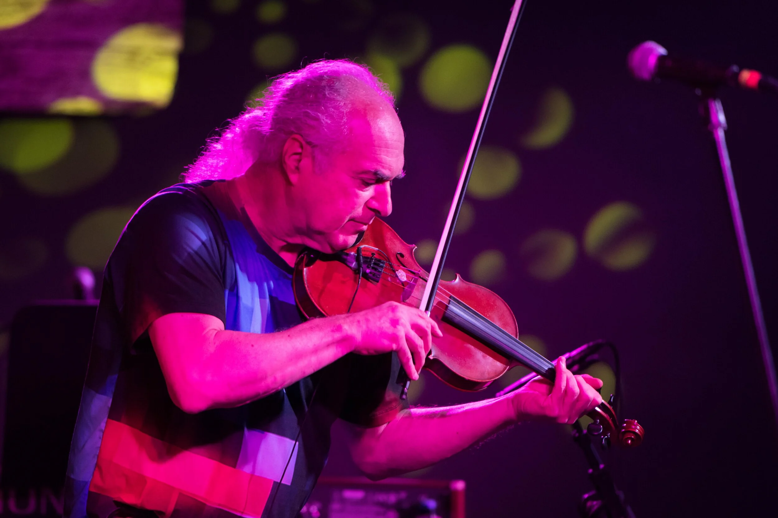 Shows — Dave Kline Band