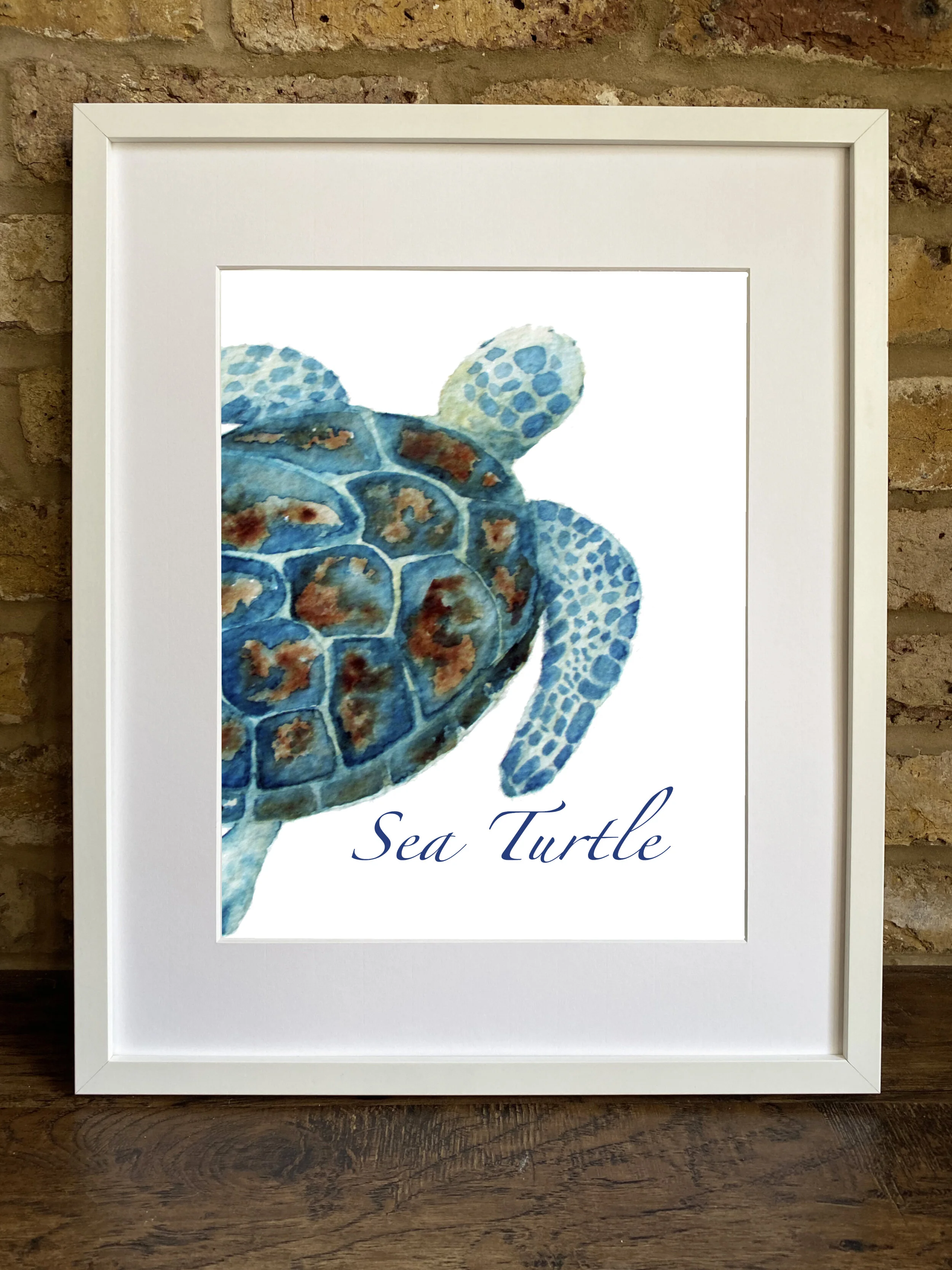 Most Beautiful Sea Turtles