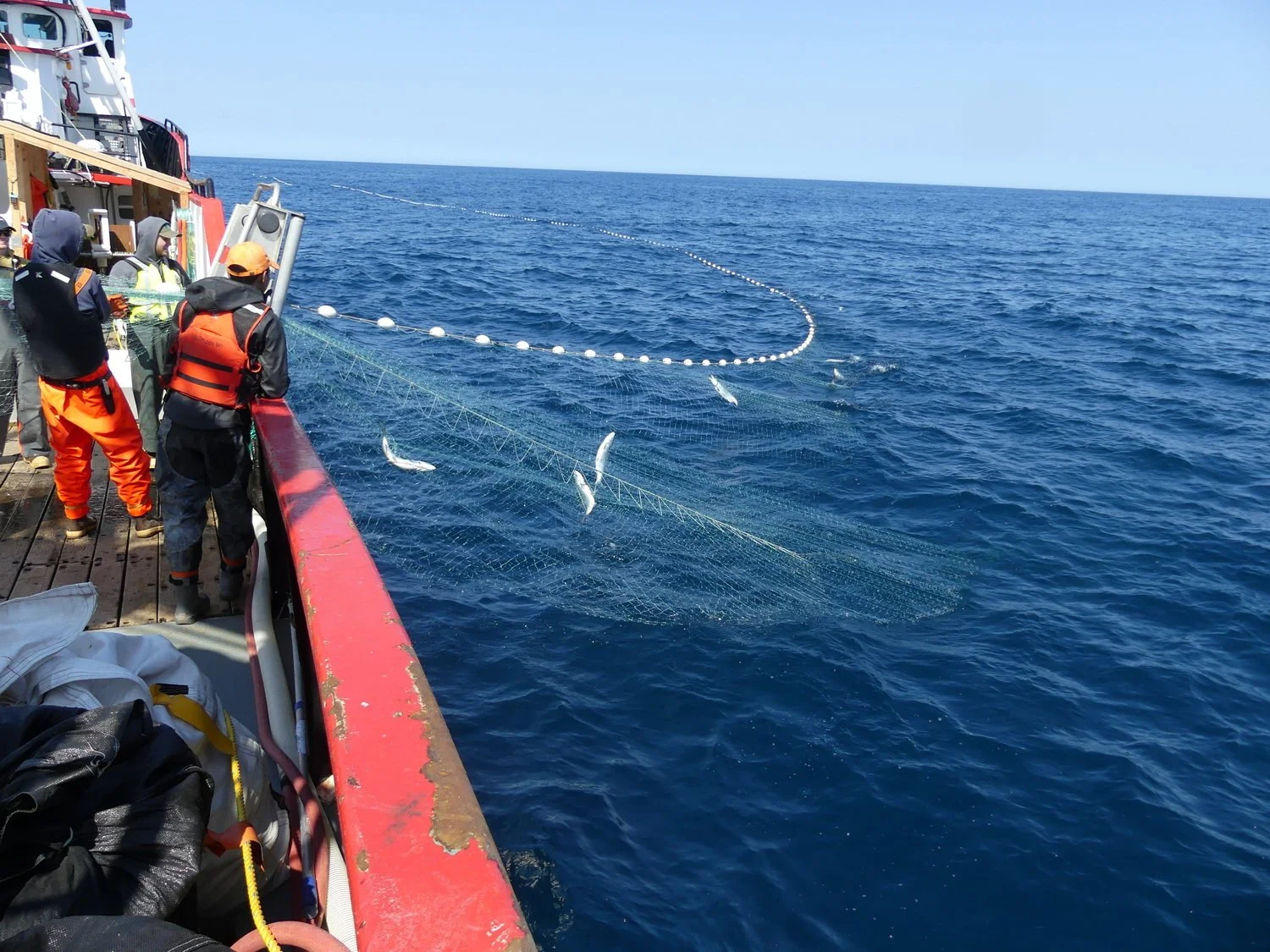 Port Moller Test Fishery - Project Highlight — BBRSDA