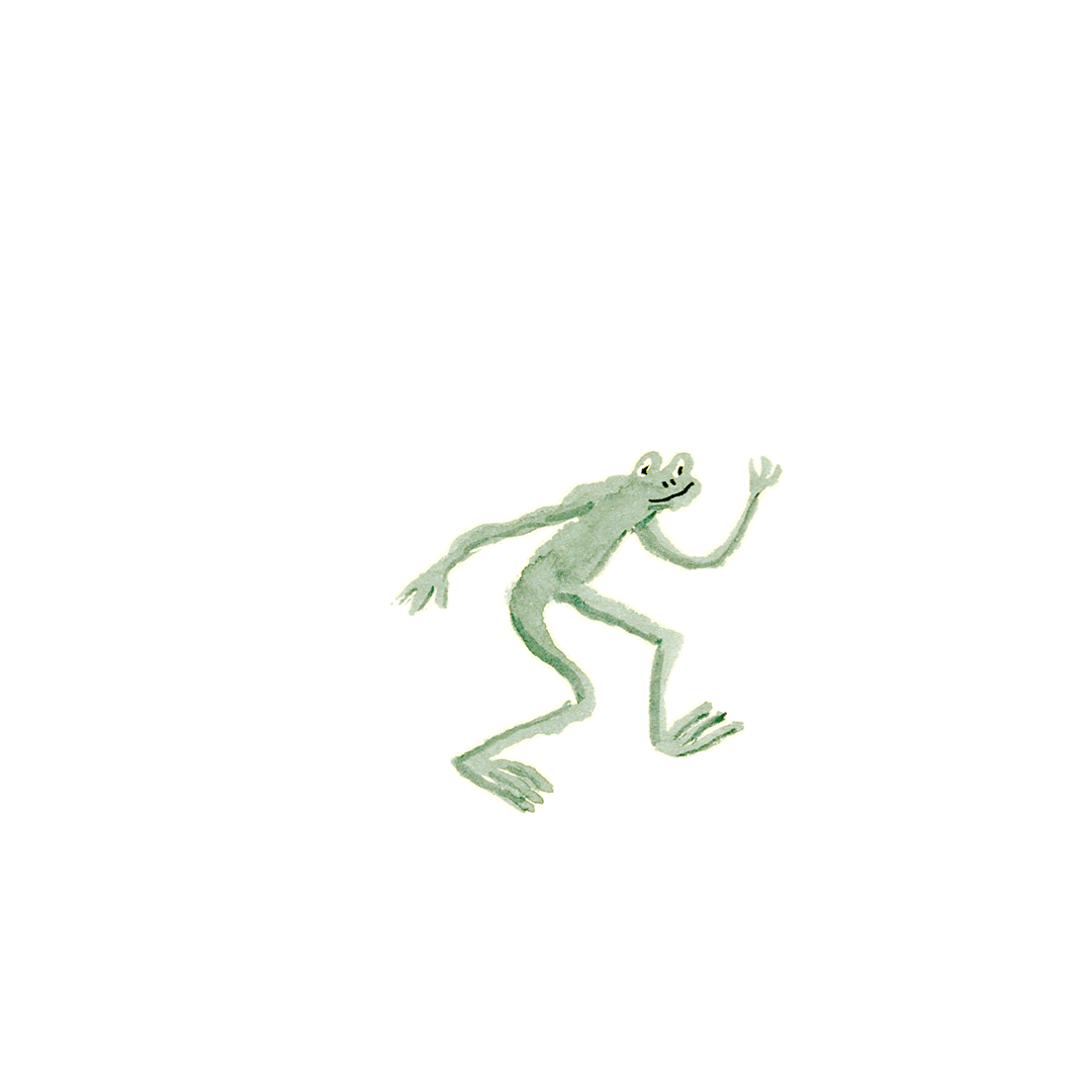Frog Animations — Vikki Chu