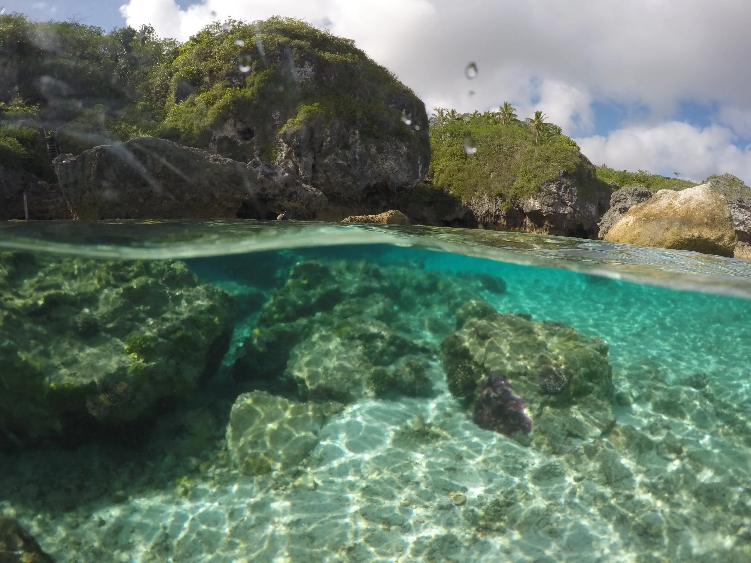 NIUE — I AM WATER Ocean Travel
