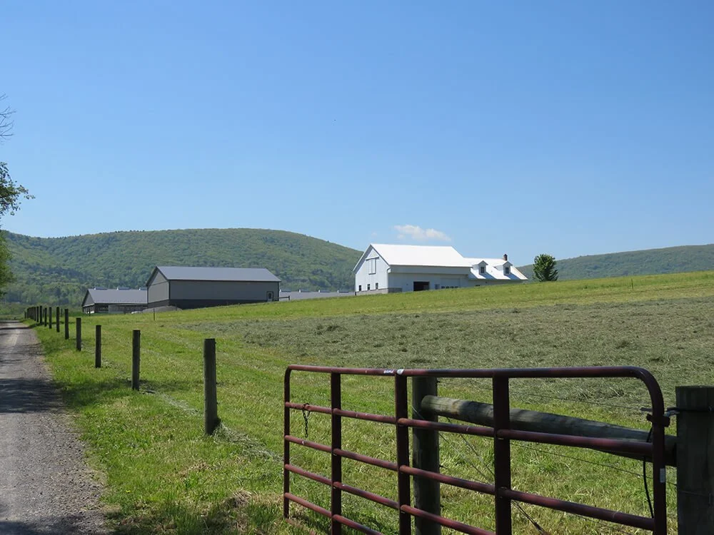 American Veal Association