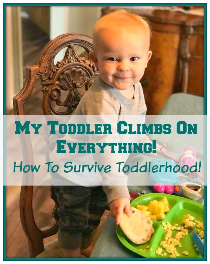 My Toddler Is Climbing Everything! How To Survive Toddlerhood! — Amber Lia