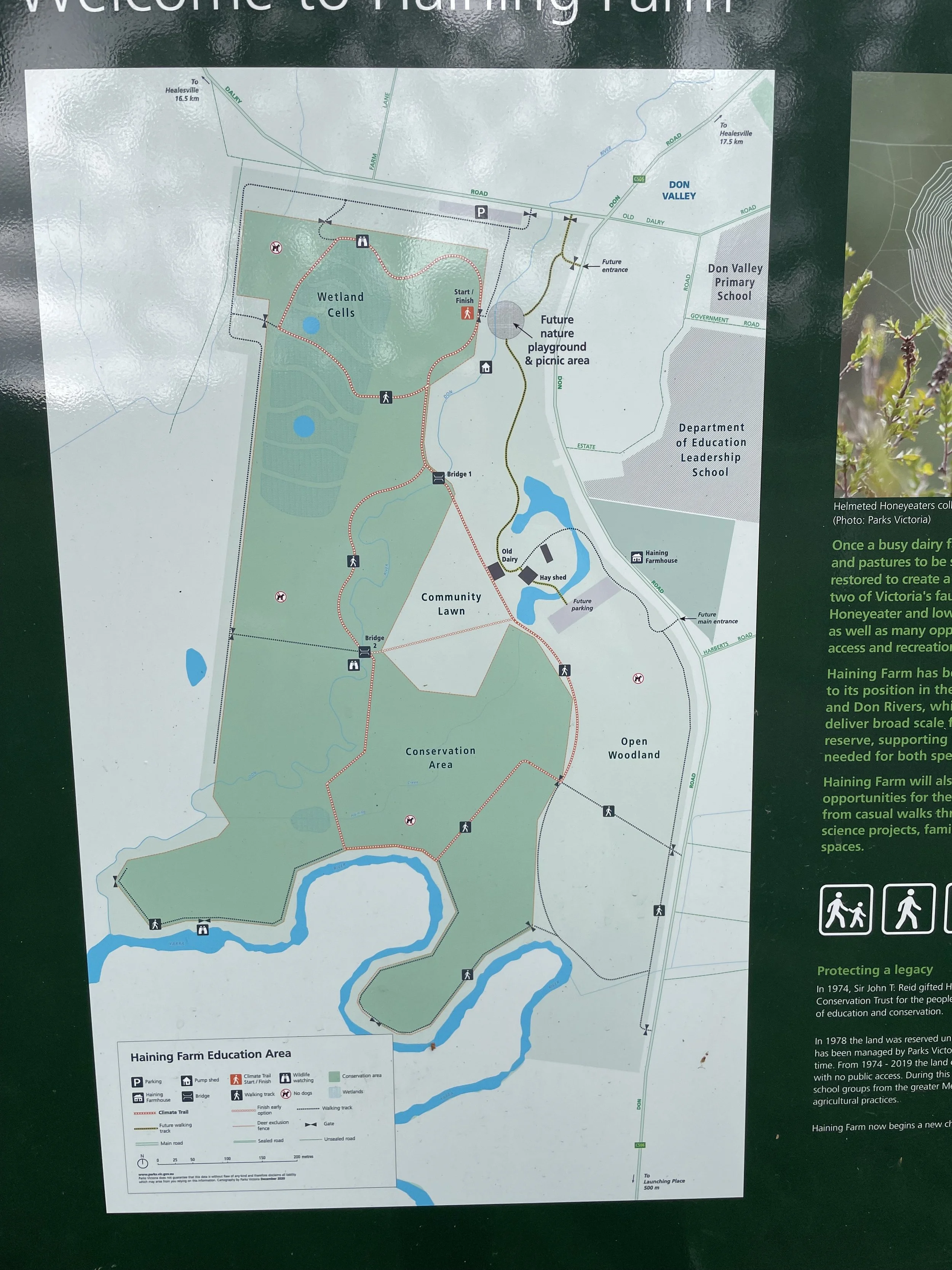 Haining Park Farm, Don Valley — mamma knows east