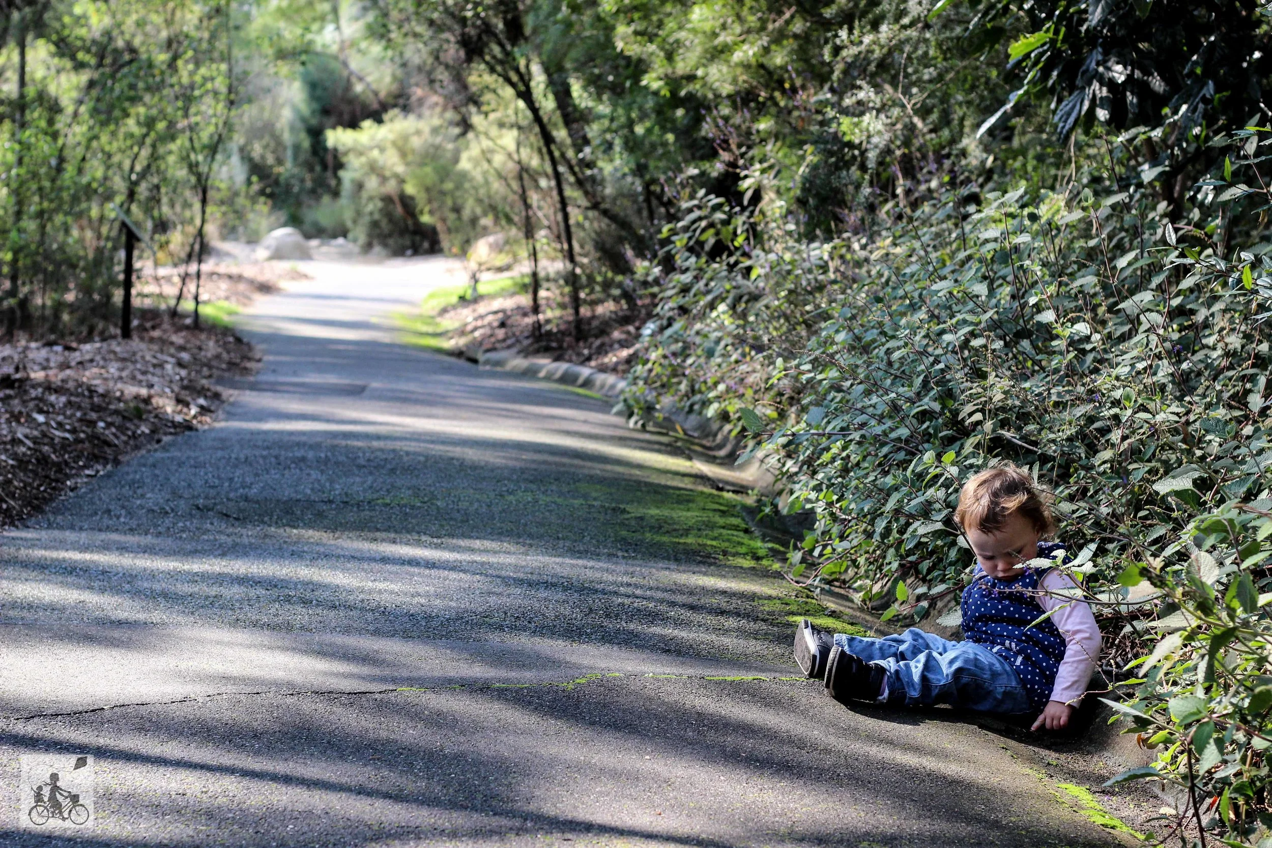 maranoa gardens, balwyn — mamma knows east