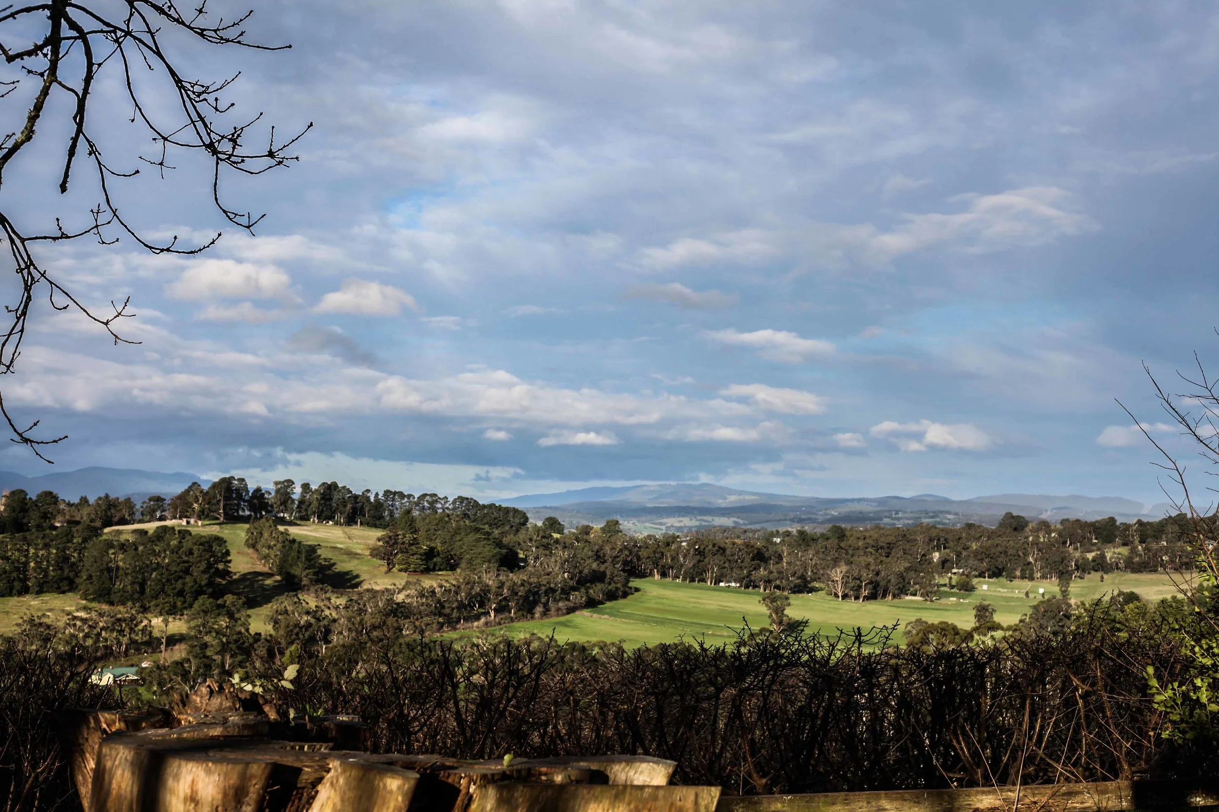 payne's rise, seville — mamma knows east