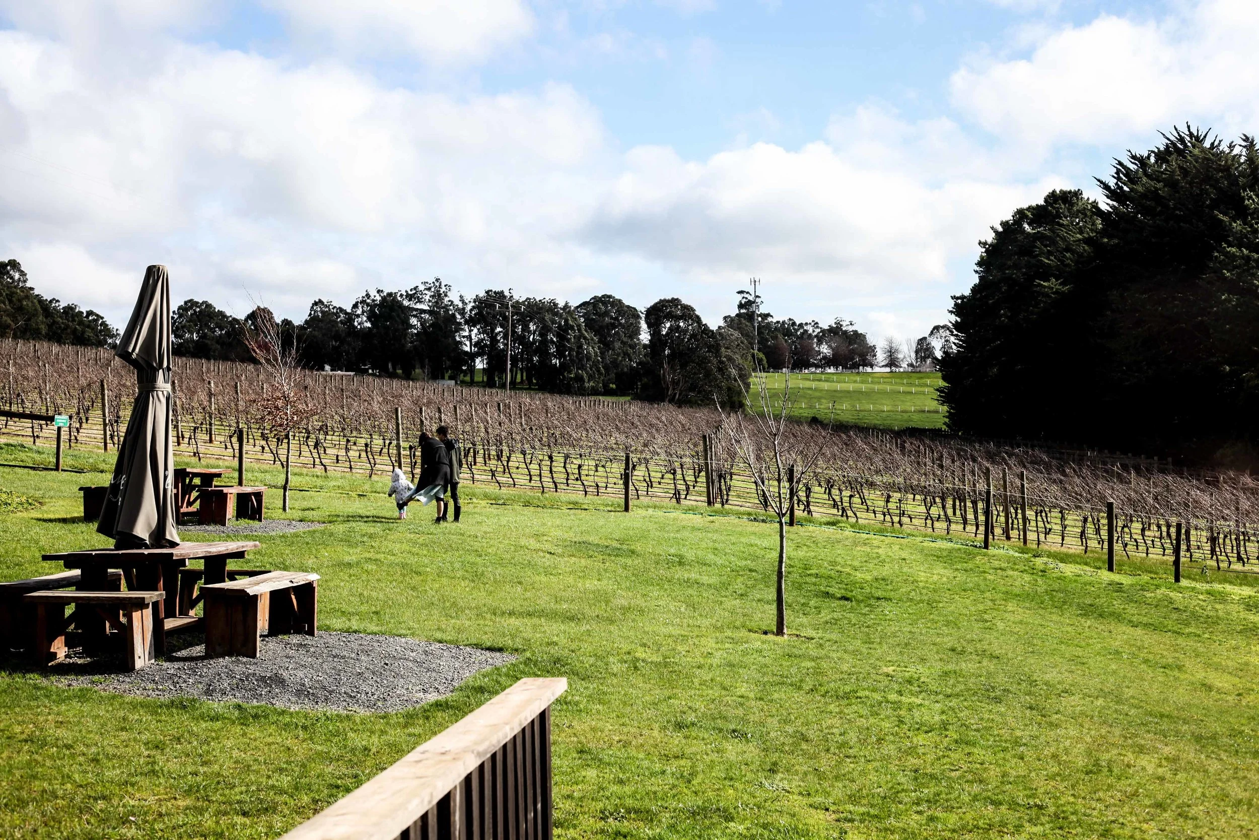 payne's rise, seville — mamma knows east