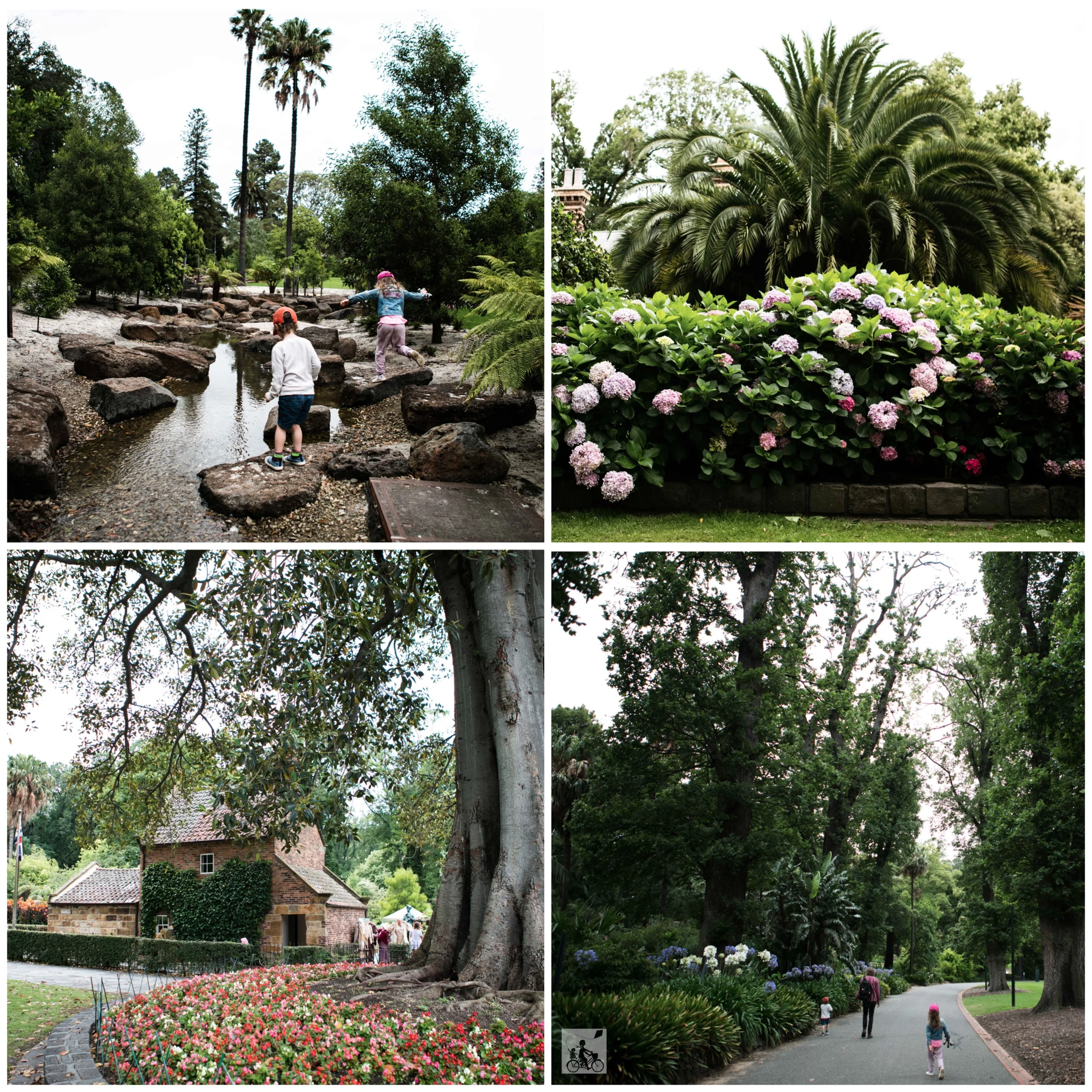 fitzroy gardens, east melbourne — mamma knows east