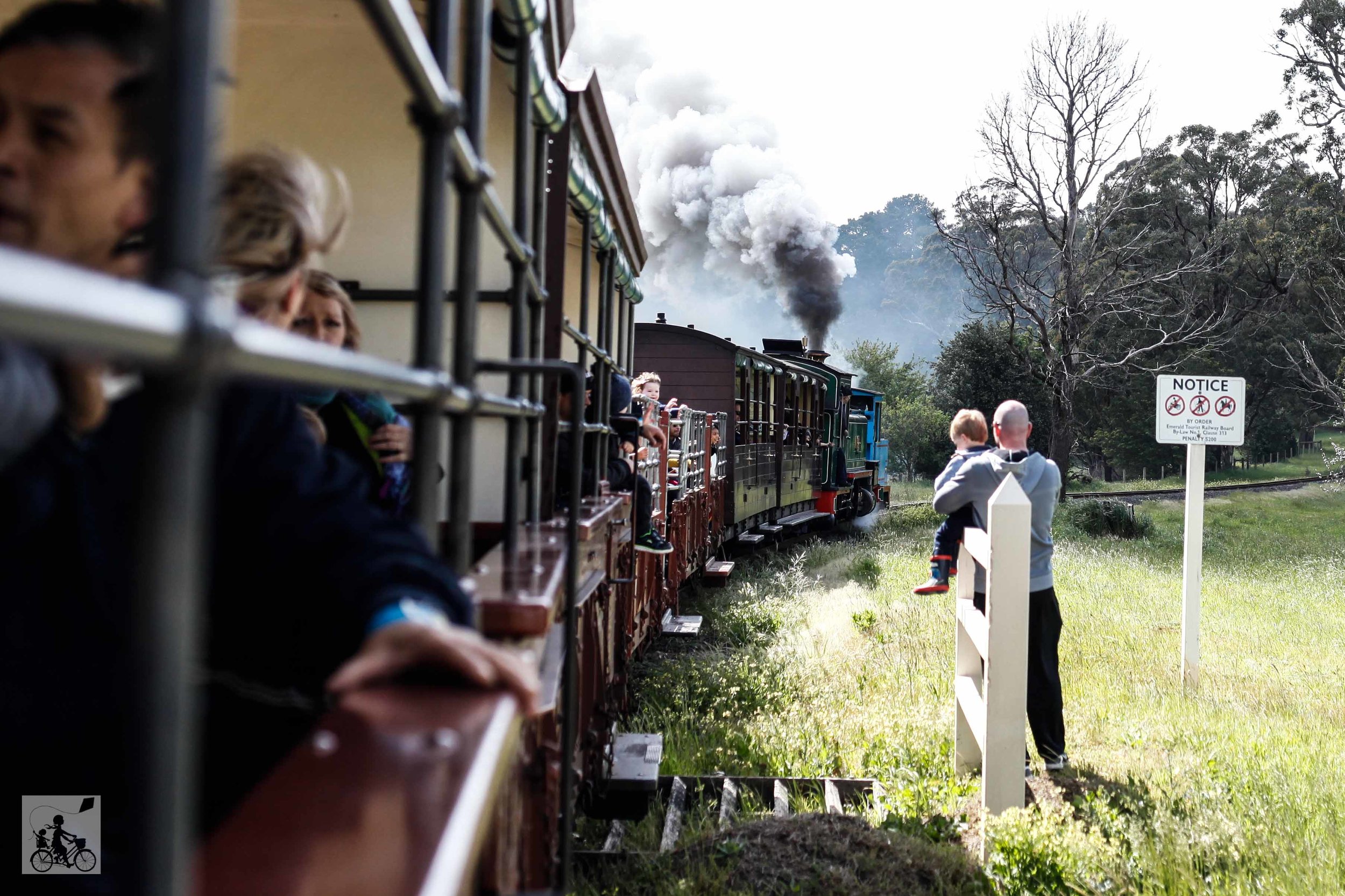 day out with thomas, puffing billy, gembrook — mamma knows east