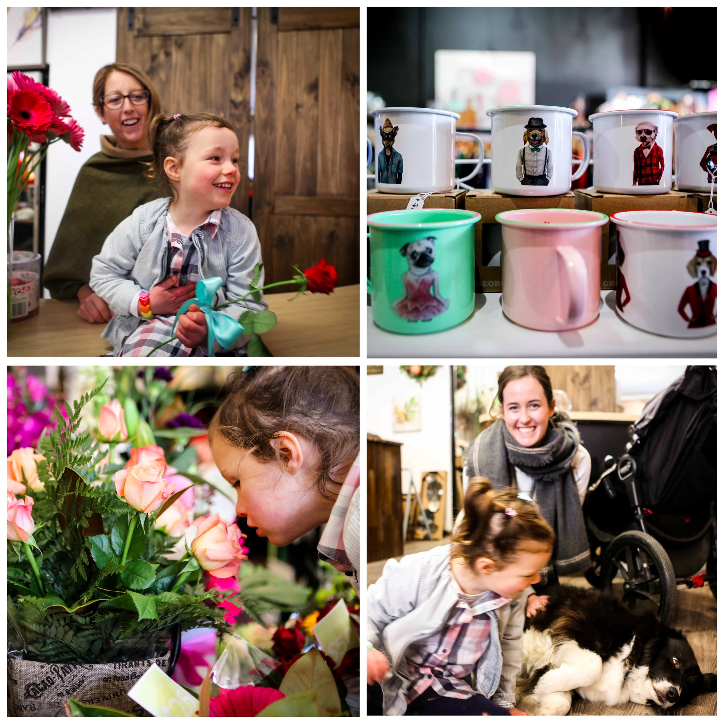 heathmont village, heathmont — mamma knows east