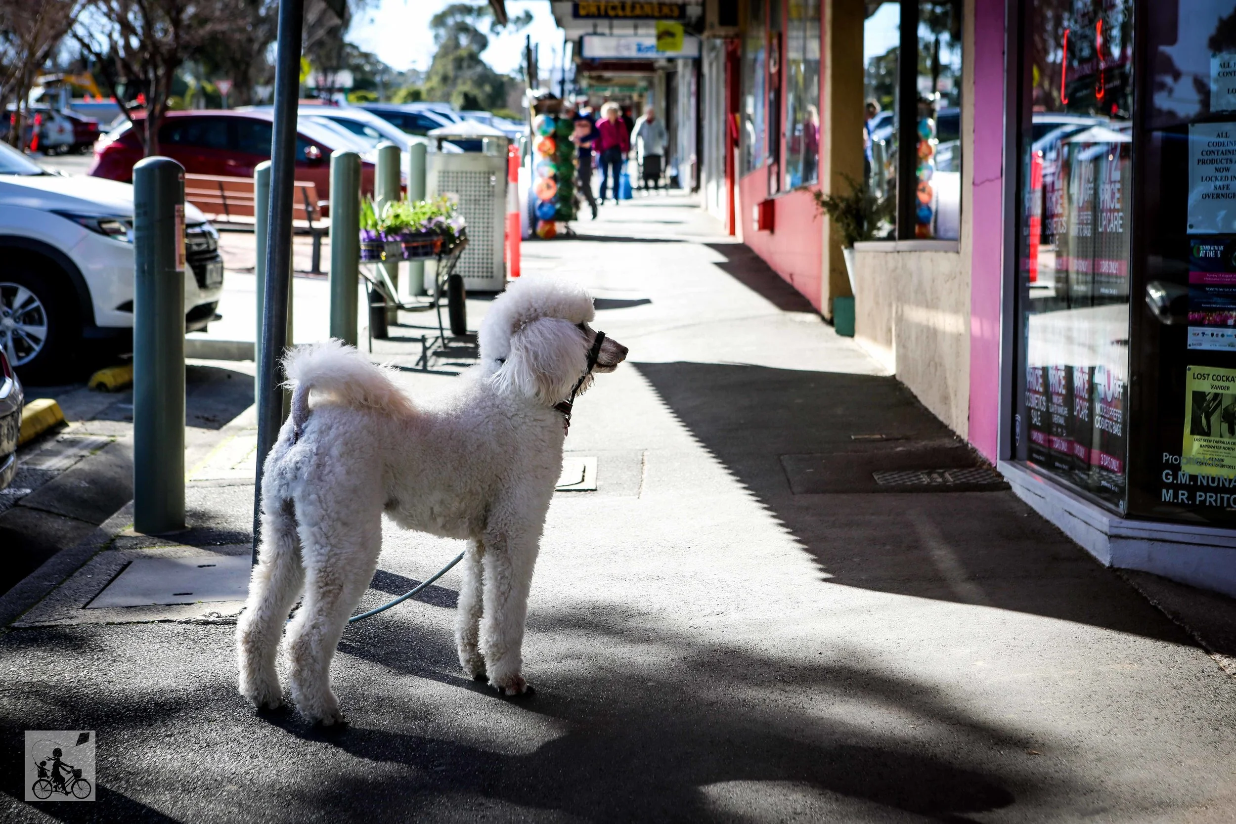 heathmont village, heathmont — mamma knows east