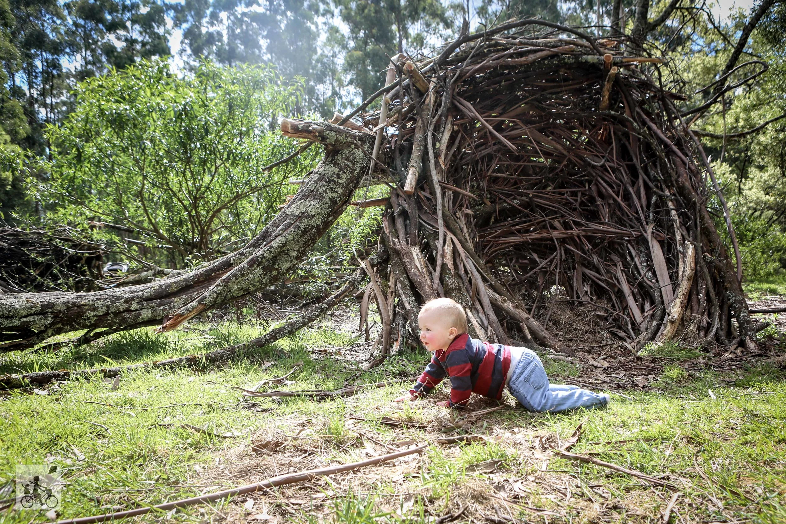 dragon nests on the neuman track, kallista — mamma knows east