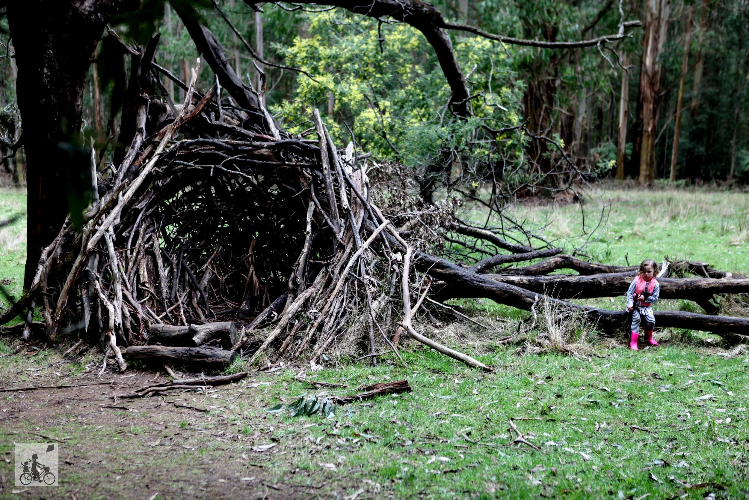 dragon nests on the neuman track, kallista — mamma knows east