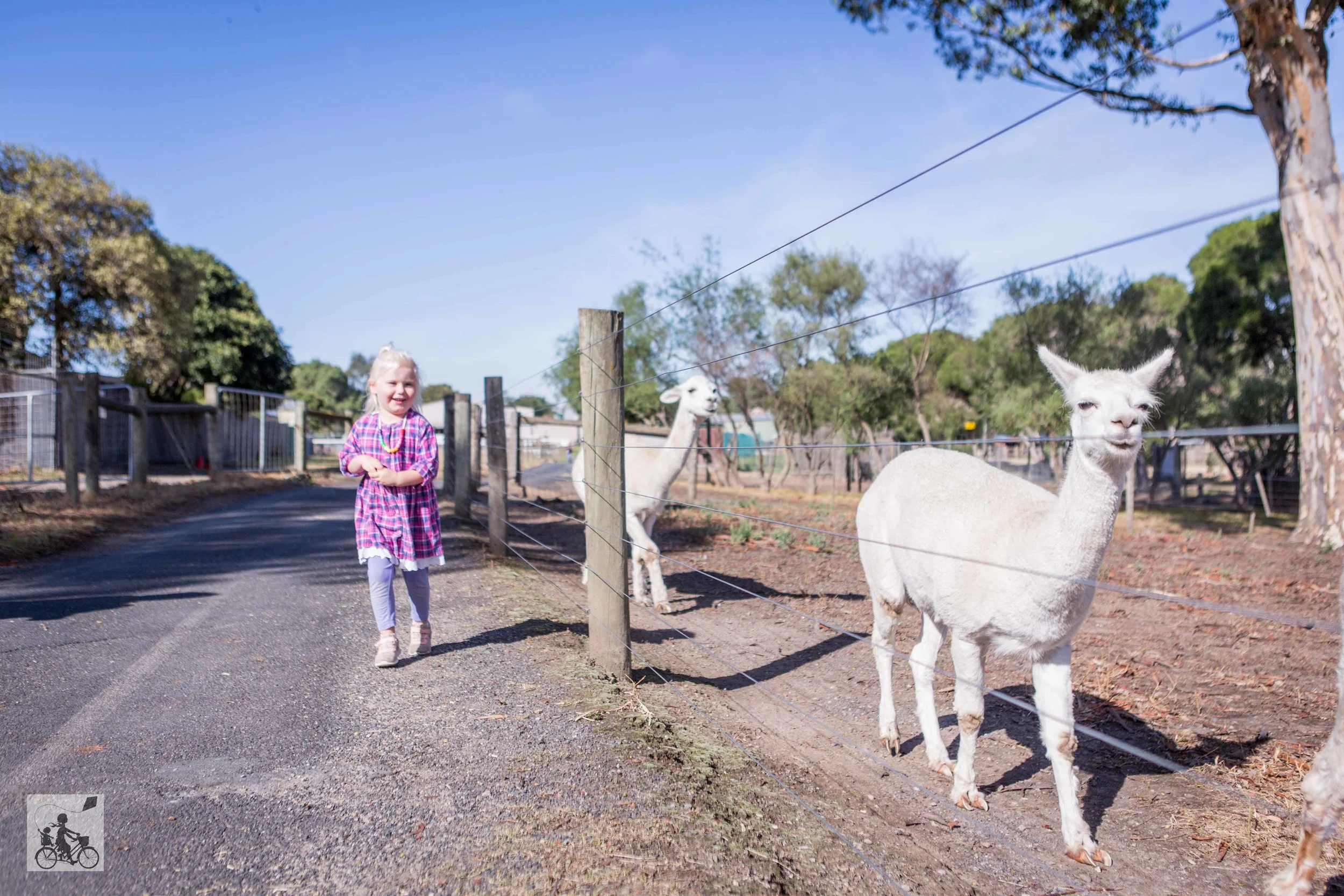 Myuna Farm, Doveton — mamma knows east
