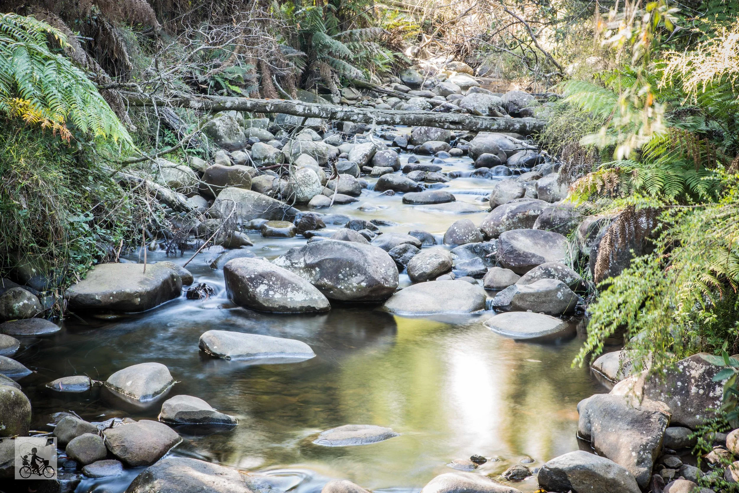 badger weir, badger creek — mamma knows east