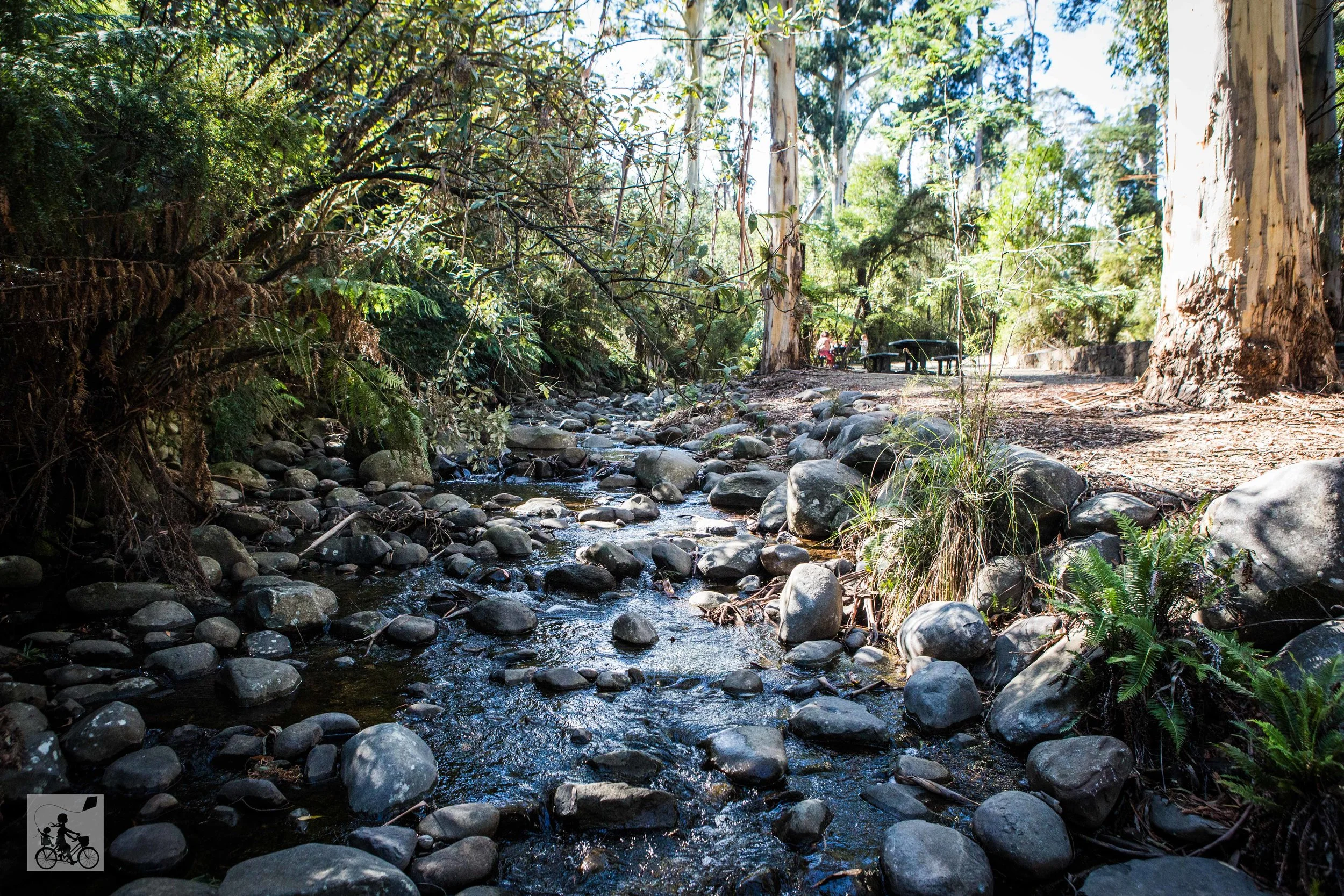 Badger Creek Weir, Badger Creek, Healesville — mamma knows east