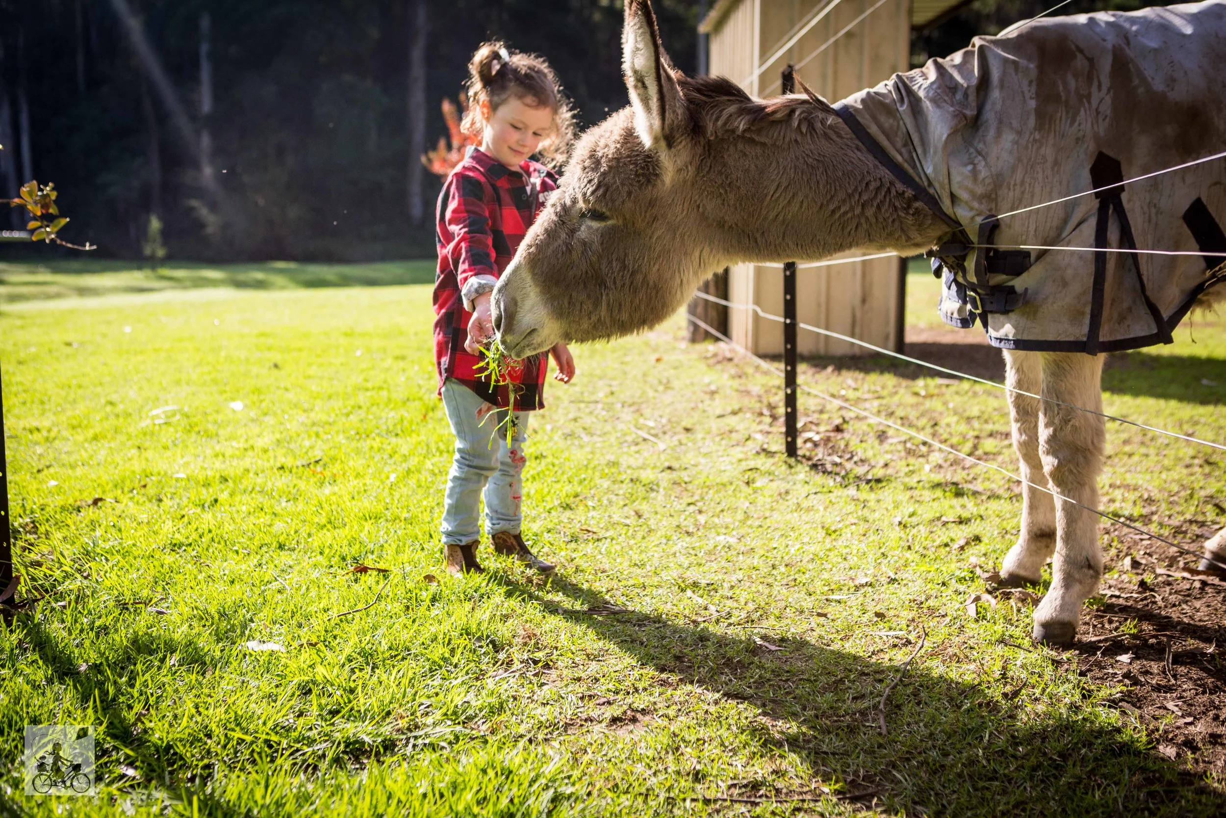 Noojee Hotel, Noojee — mamma knows east