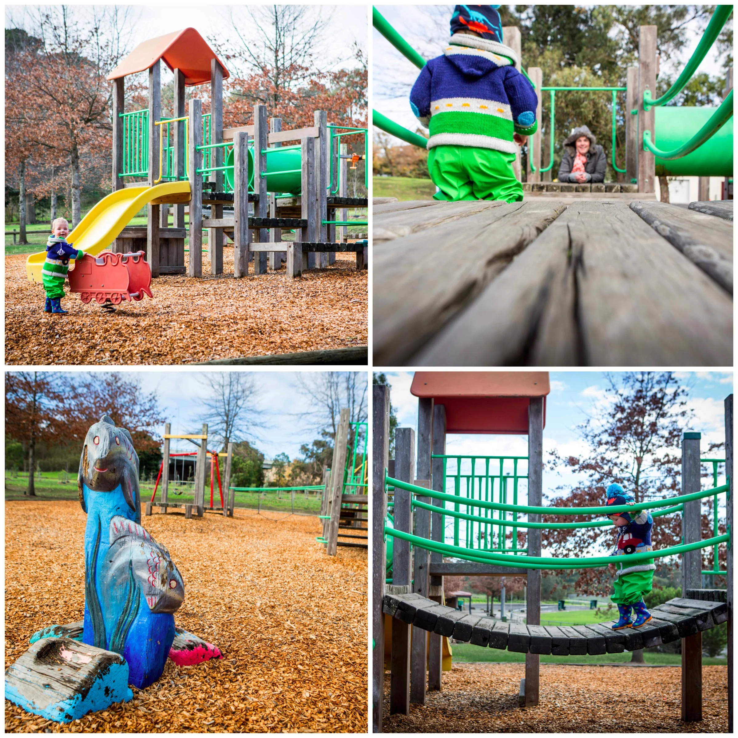 wantirna reserve, wantirna — mamma knows east