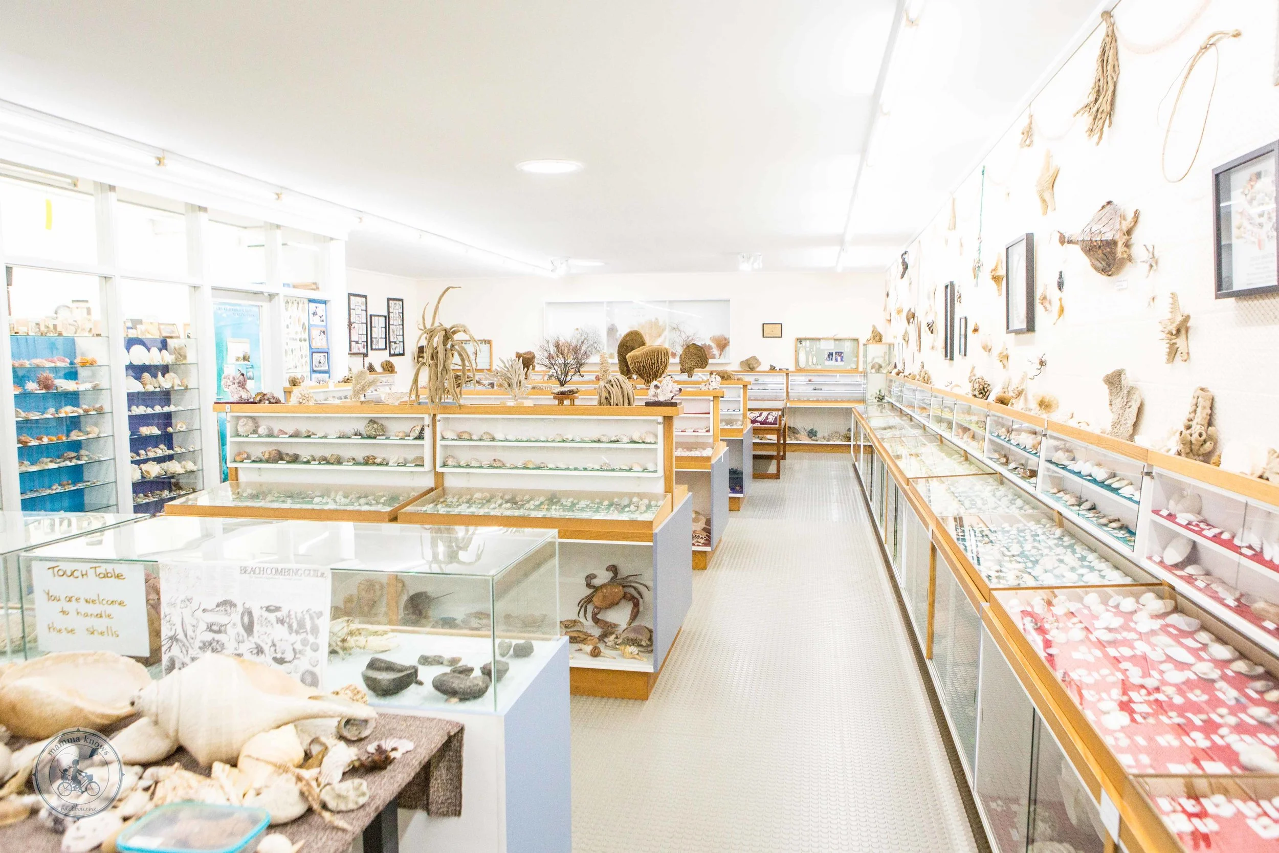 shell museum @ bunurong environment centre, inverloch — mamma knows east