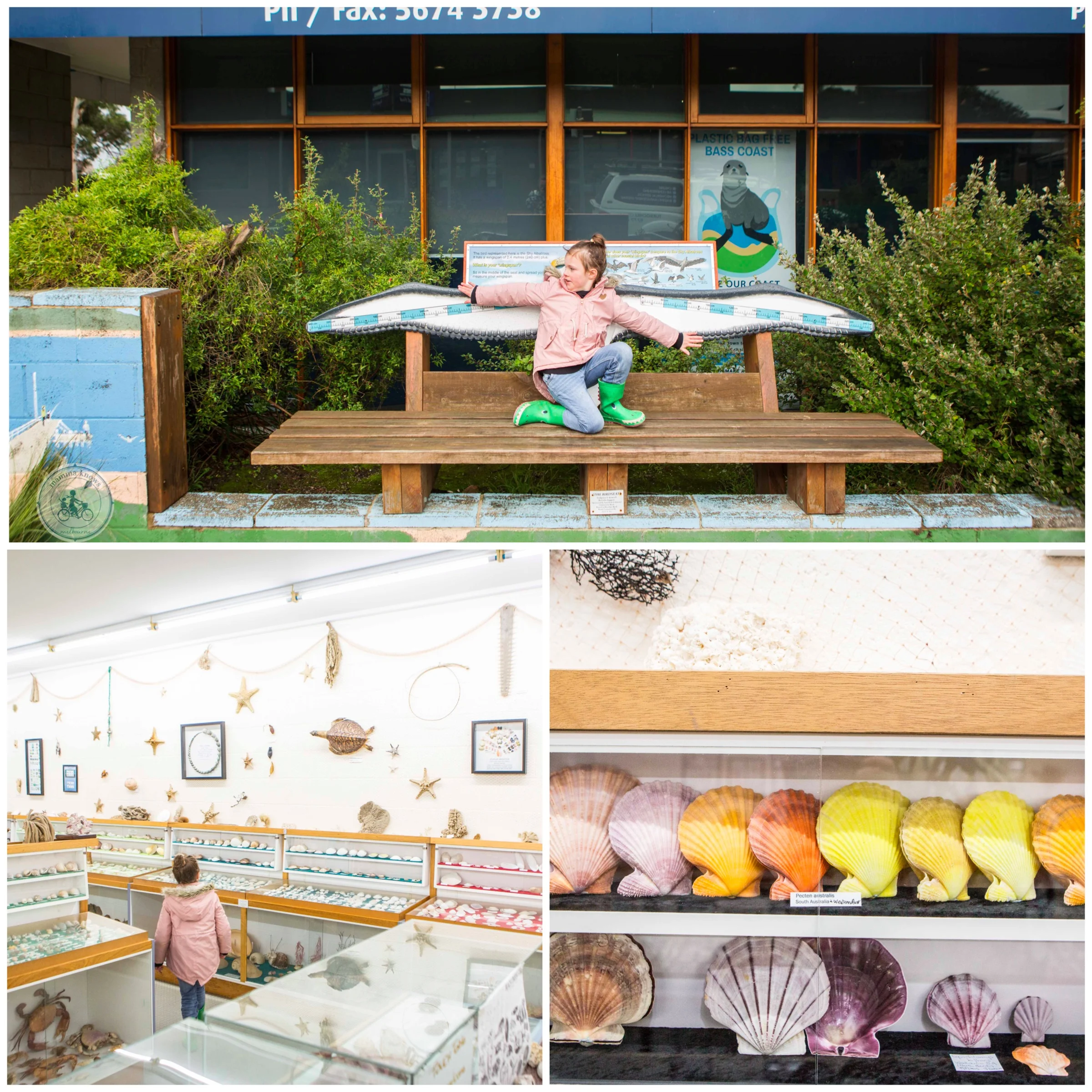 shell museum @ bunurong environment centre, inverloch — mamma knows east