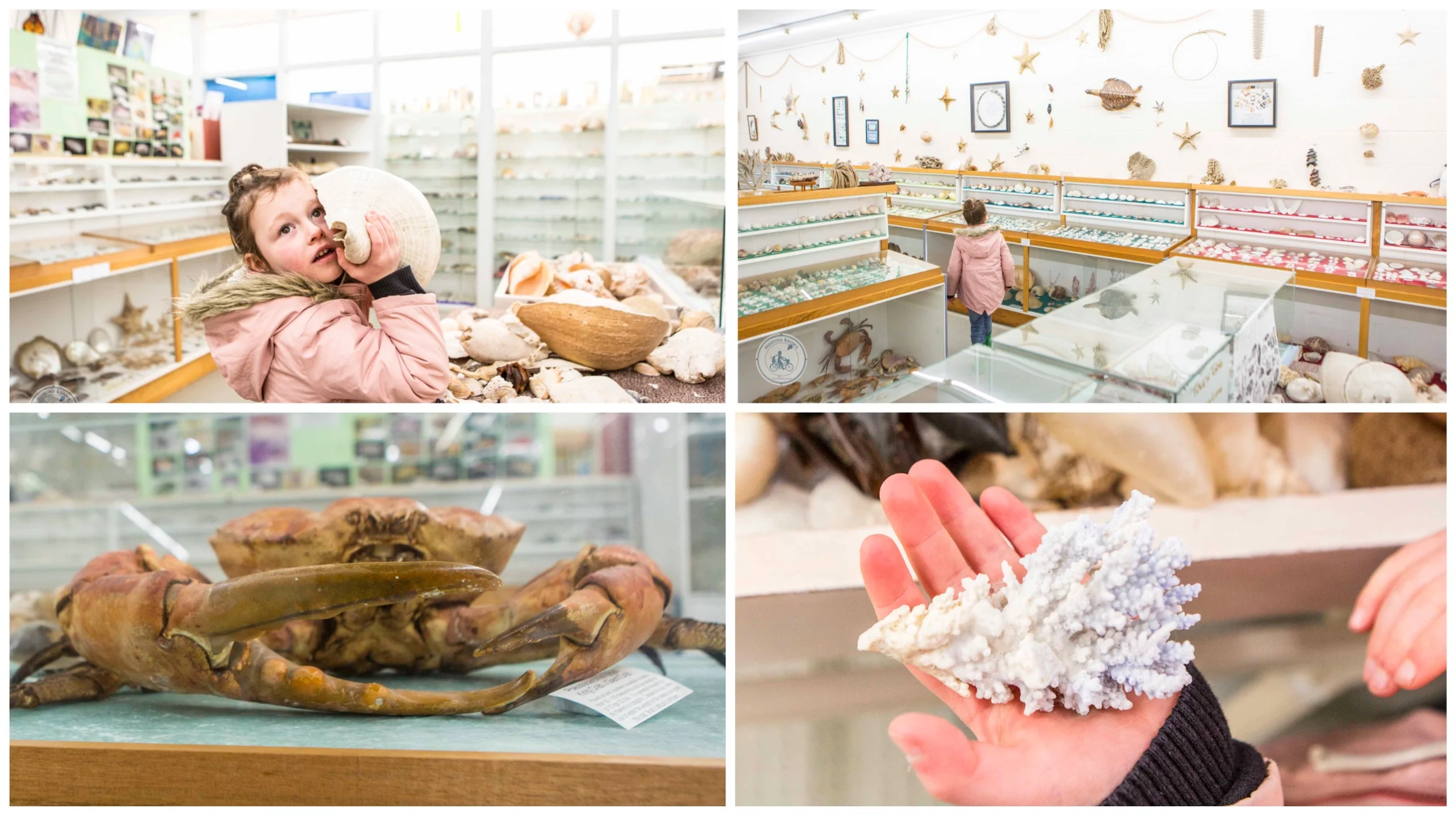 Family Road Trips into Victoria's East — mamma knows east