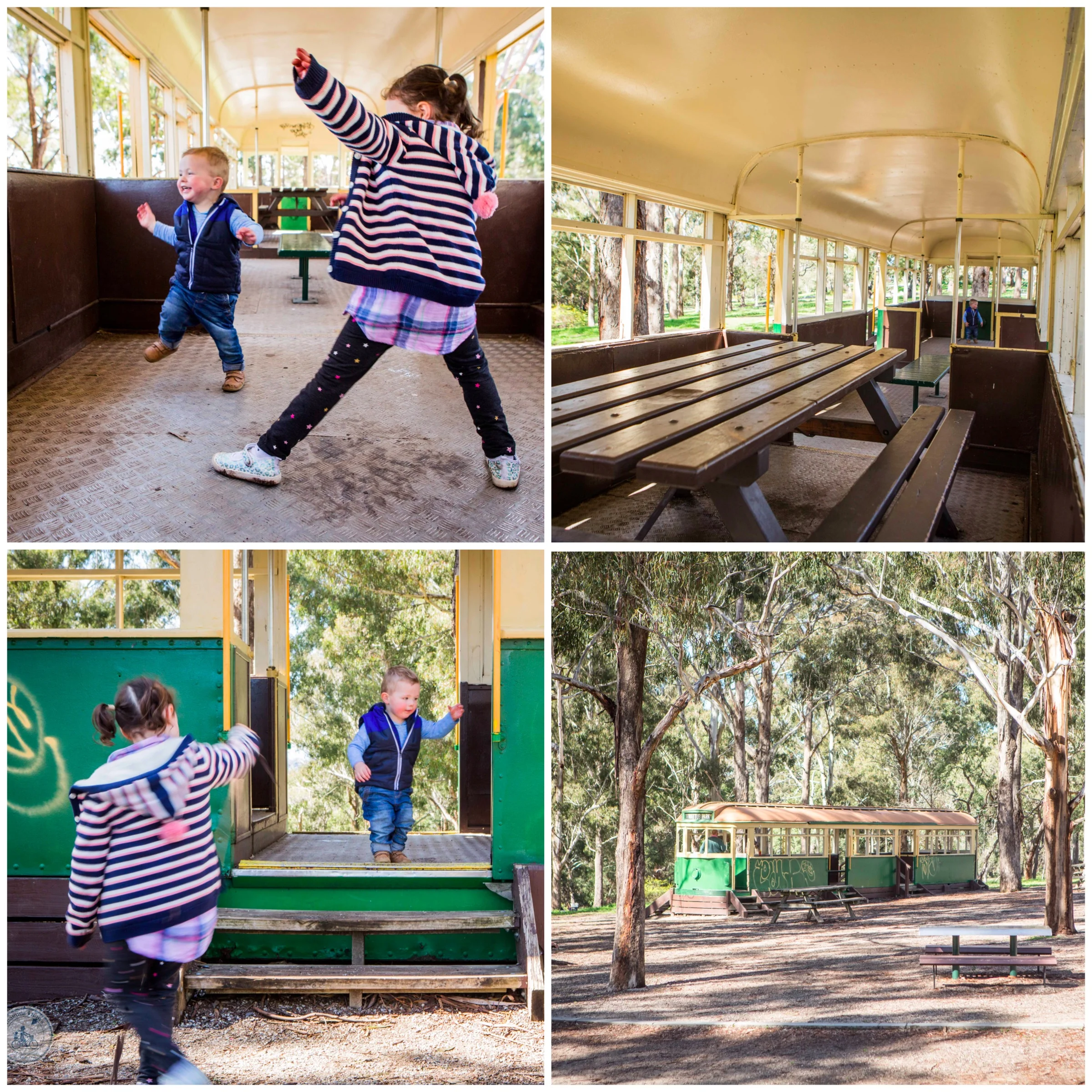 Wattle Park Playground, Surrey Hills — mamma knows east