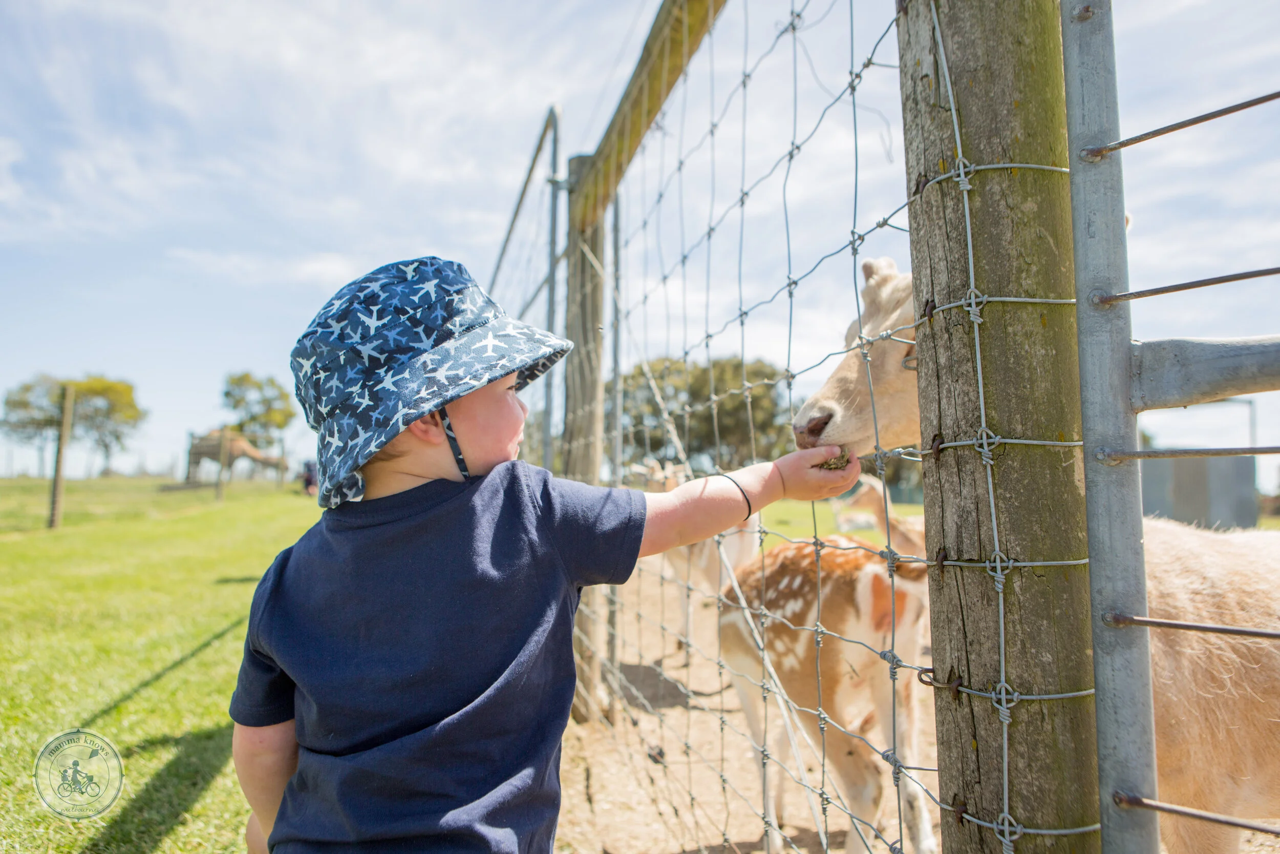 Chesterfield Farm, Scoresby — mamma knows east